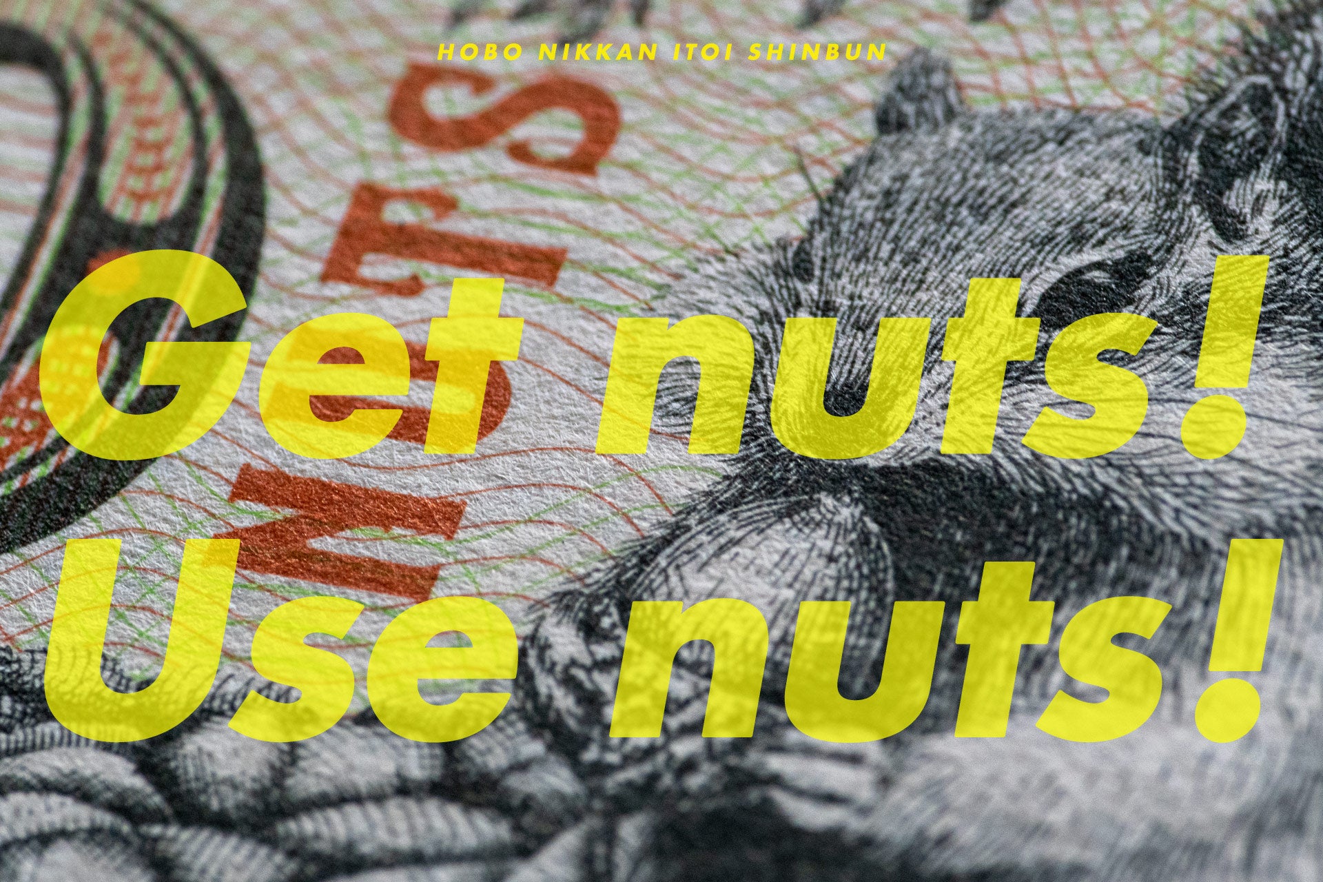 Get nuts! Use nuts! | ほぼ日刊イトイ新聞