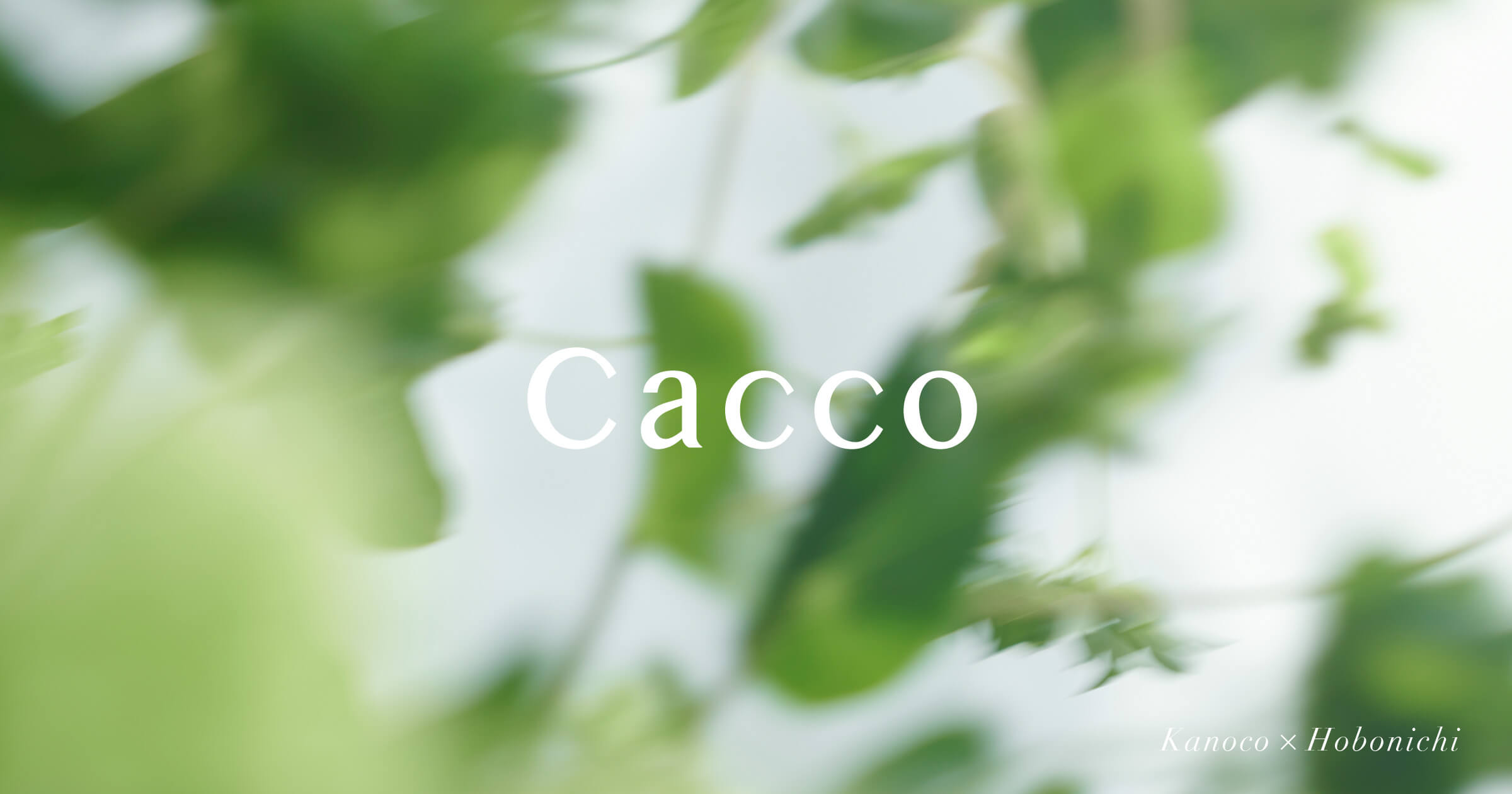 [Cacco]Kanoco＋Hobonichi - ほぼ日刊イトイ新聞