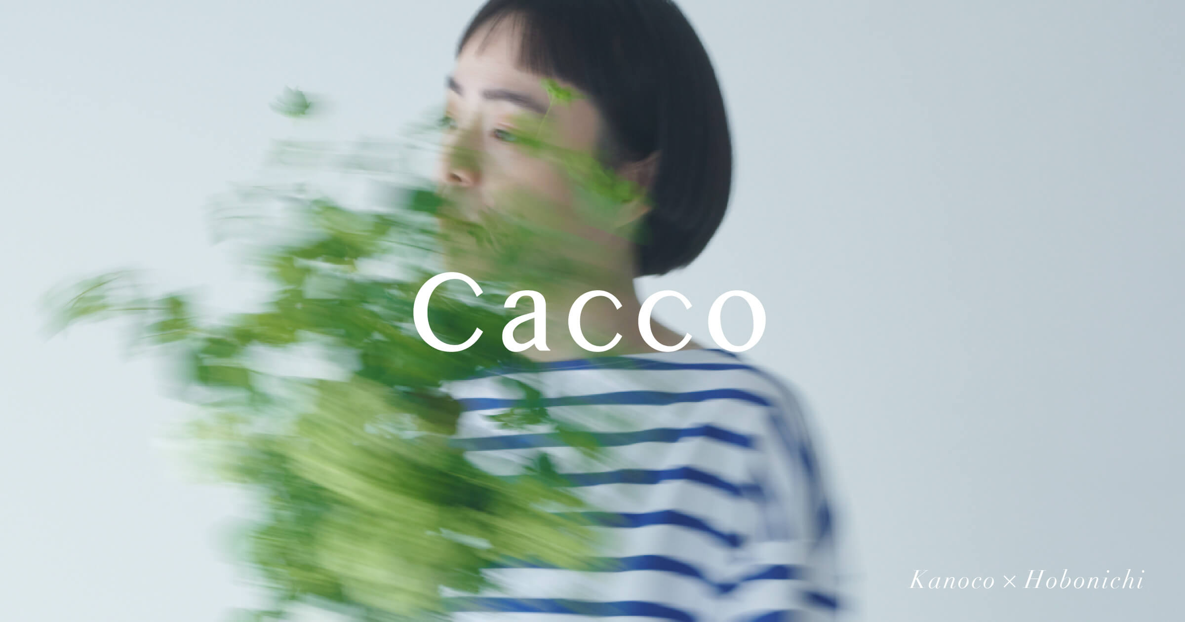 [Cacco]Kanoco＋Hobonichi - ほぼ日刊イトイ新聞