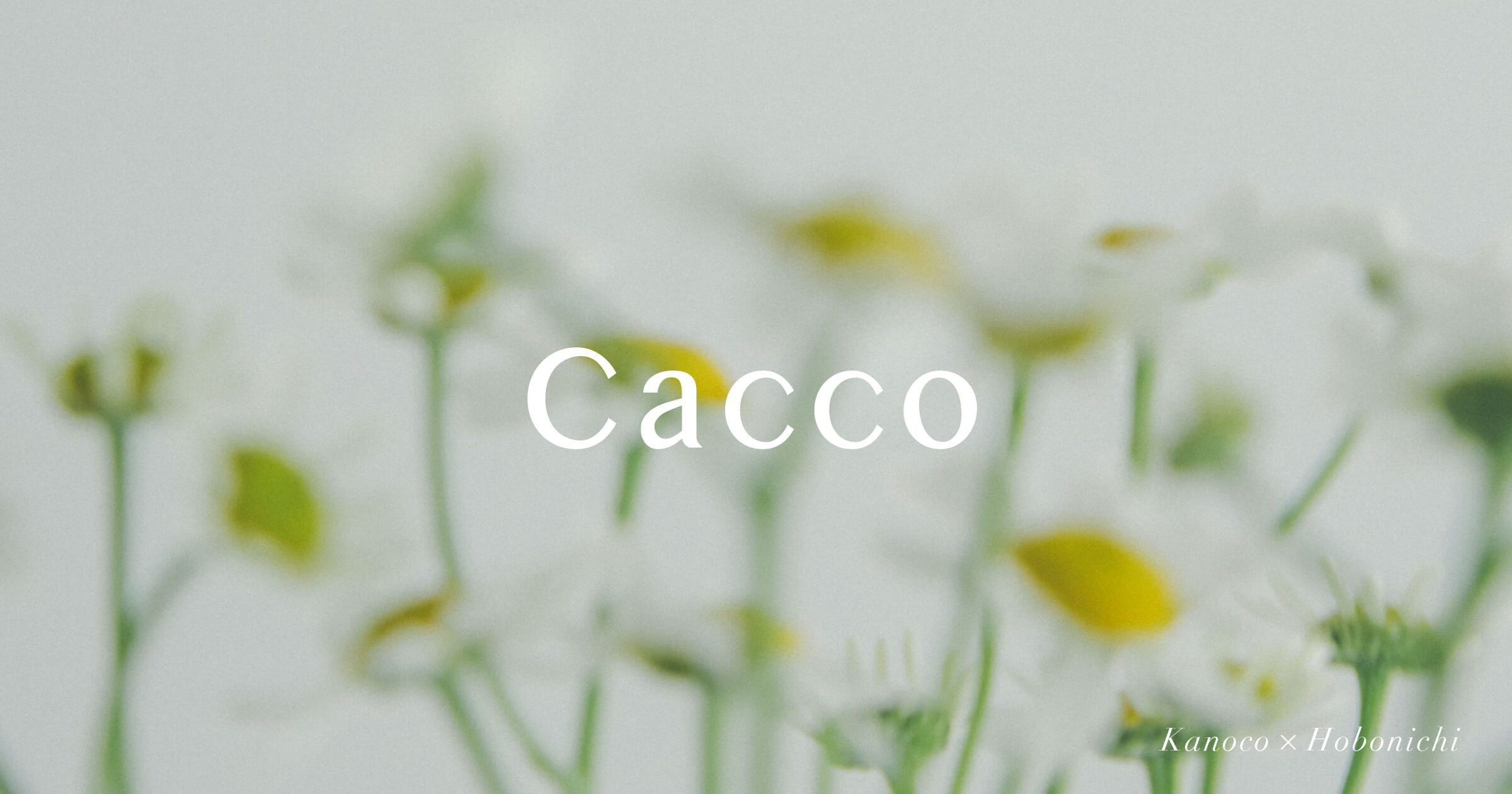 [Cacco]Kanoco＋Hobonichi - ほぼ日刊イトイ新聞