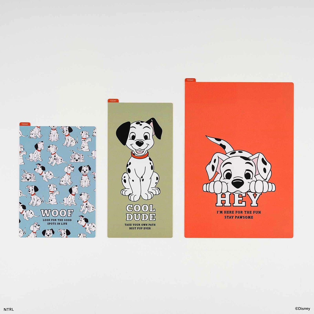 101 Dalmatians: Hobonichi Pencil Board (101 Dalmatians) For A6 Size ...
