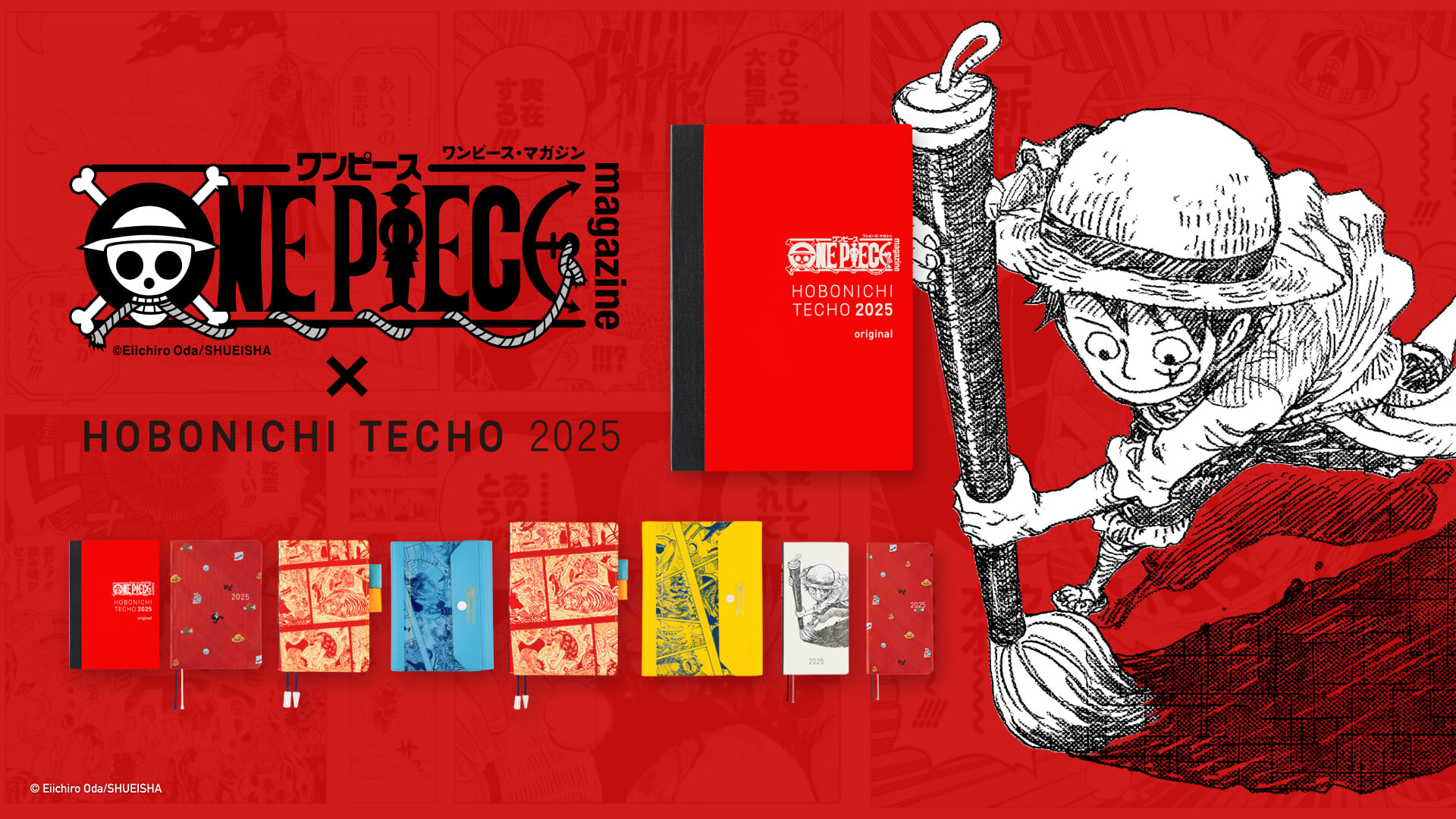Hobonichi Techo 2025