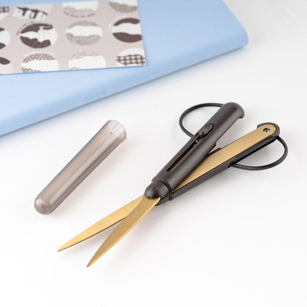Raymay Fujii: Pencut Premium Scissors with Titanium Coating ...