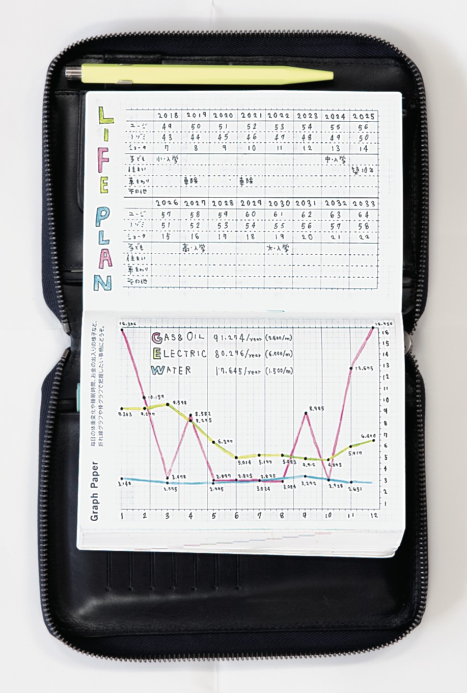 Writing a life plan to think about her family’s future - How It’s Used ...