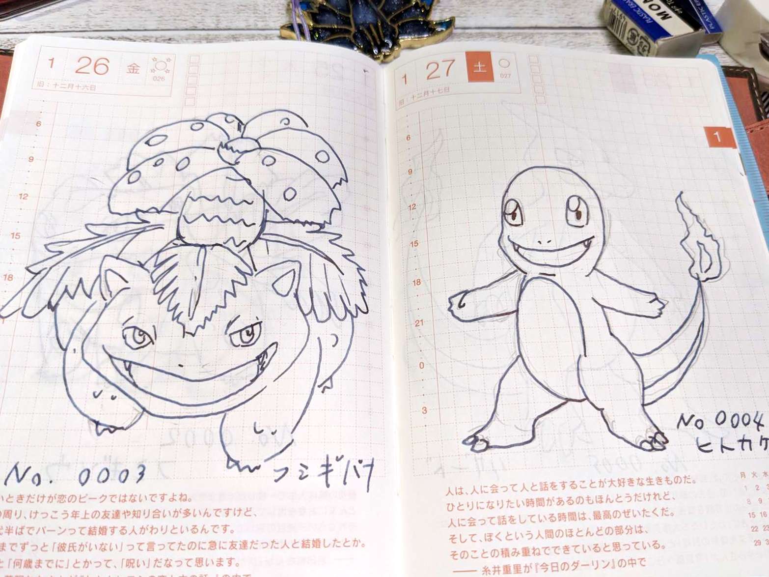 Introducing the Pokétecho: A hand-made Pokédex! - How It’s Used ...
